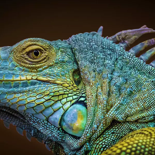 Tunel by Petar Zambo, Photography, Digital | Art Limited