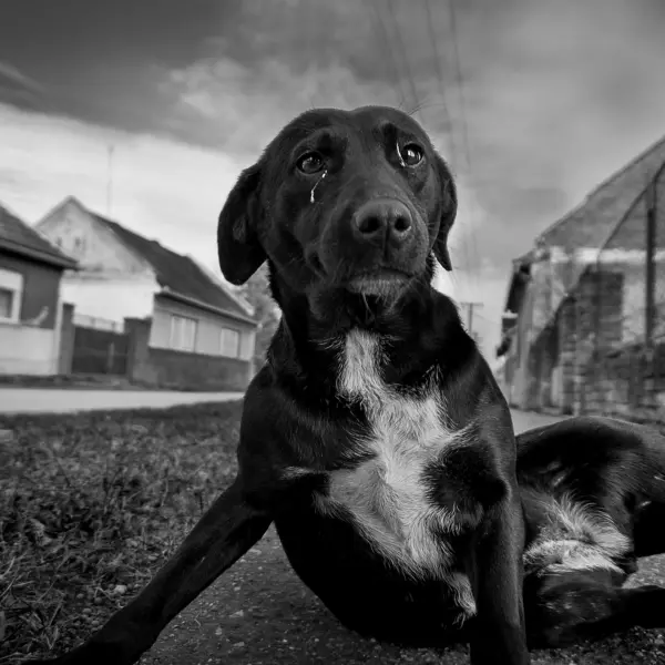 Tunel by Petar Zambo, Photography, Digital | Art Limited