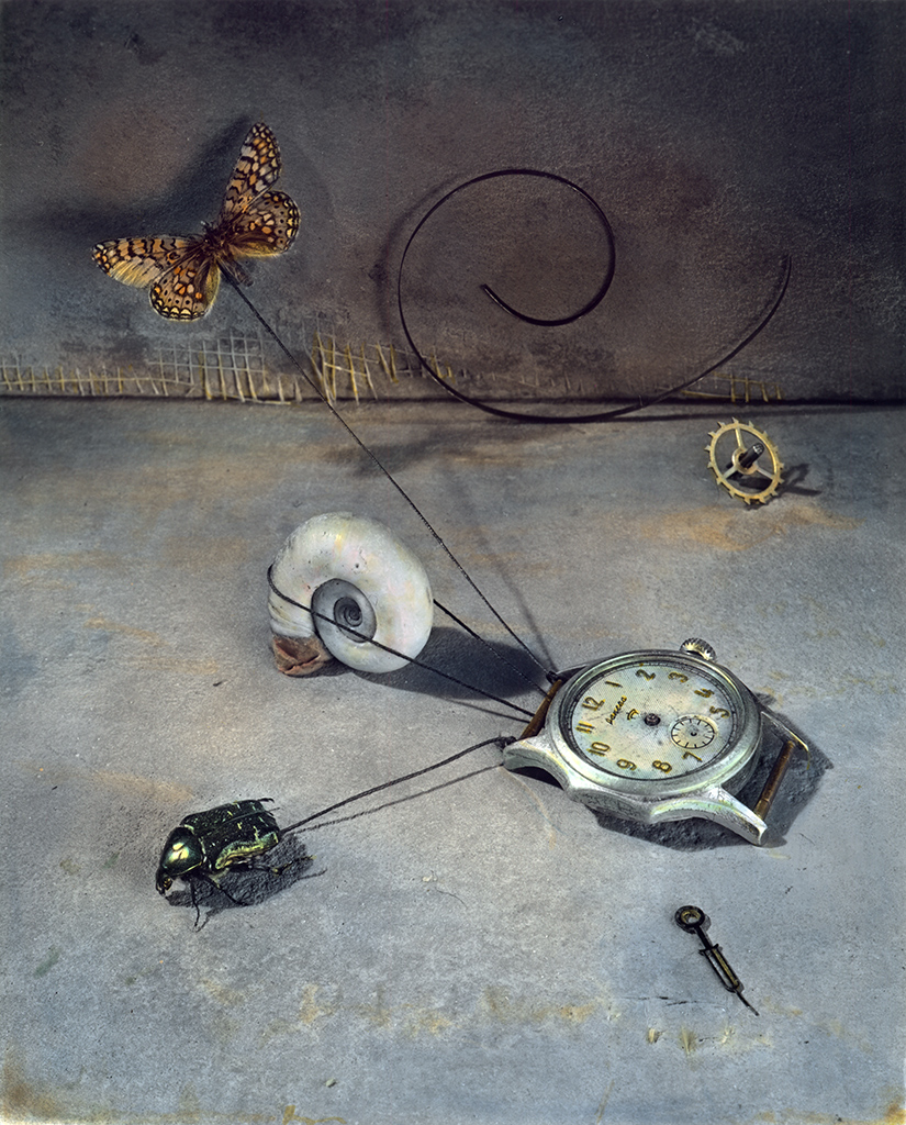 Time moves imperceptibly by Sergey Shapochkin, Photography, Large ...