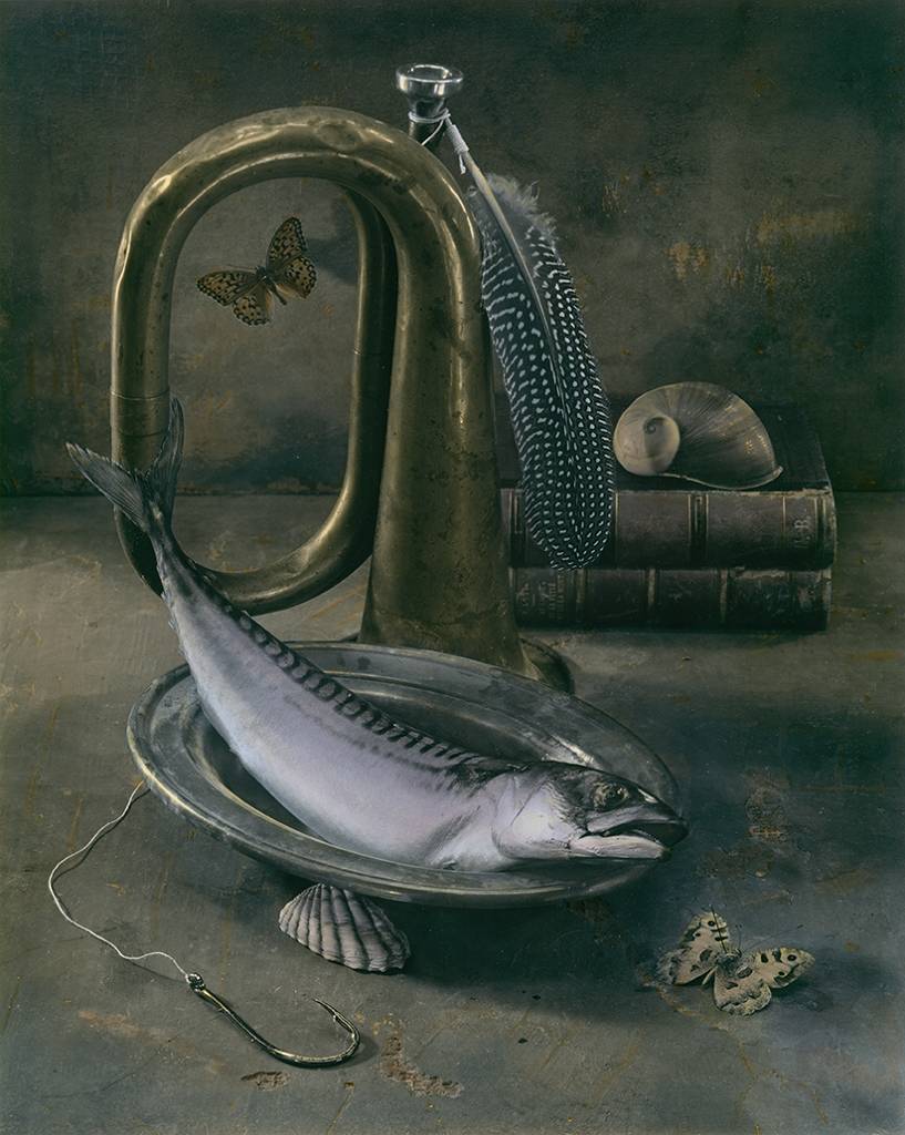 Romantic fish story by Sergey Shapochkin, Photography, Large-format ...