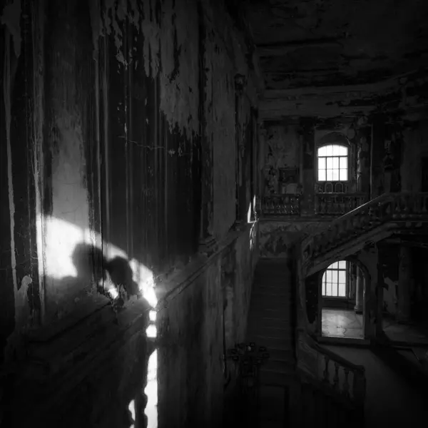 Midnight Garden by Emmanuel Knibbe, Photography, Digital | Art Limited