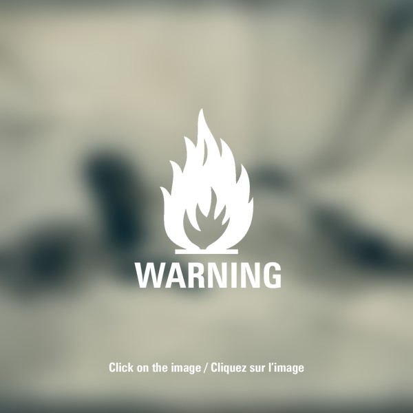 Timeless post scriptum (MWP II.12) by Pablo Fanques Fair, Photography ...