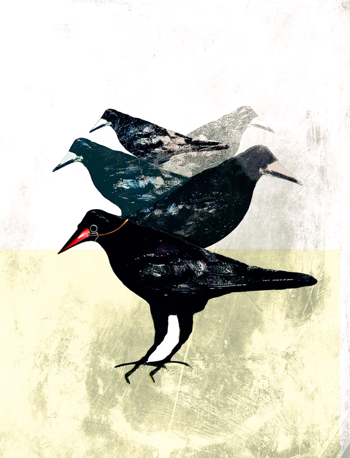 Party pooper by Ewa Kanto, Drawing, Digital | Art Limited