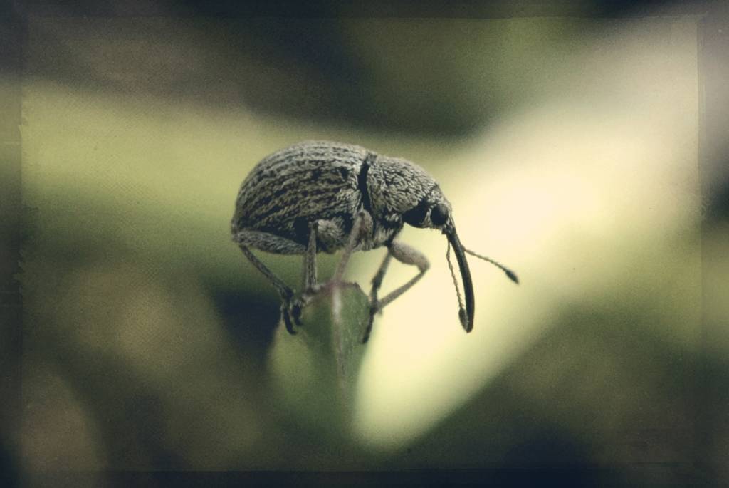 Charençon by Valérie Auffret, Photography, Digital | Art Limited