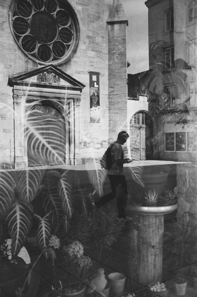 shadow and reflection photography