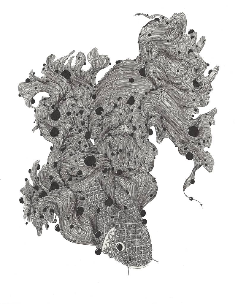 Koi by Schwarz Ink, Drawing, Ink