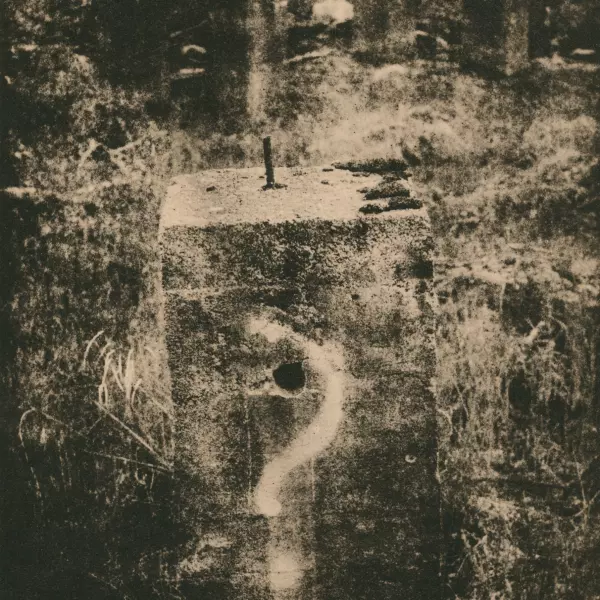 LITH 88 - 2020 by Nils Bergqvist, Photography, Medium-format film | Art ...