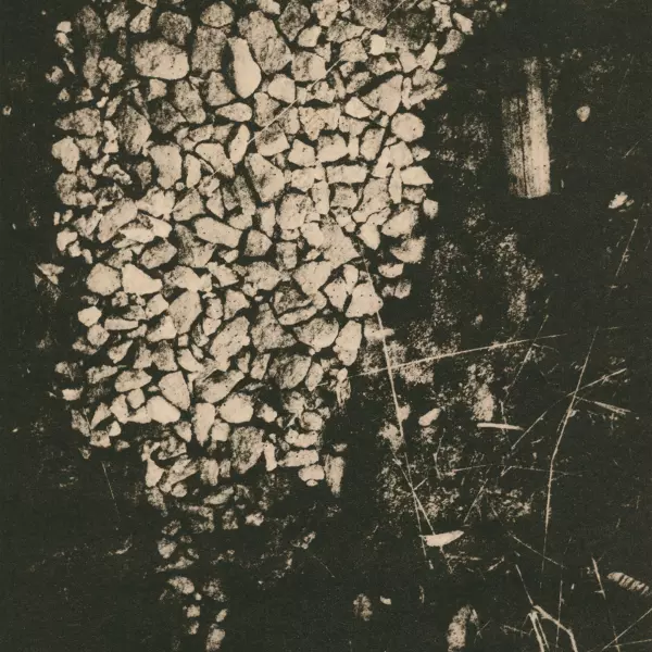 LITH 88 - 2020 by Nils Bergqvist, Photography, Medium-format film | Art ...