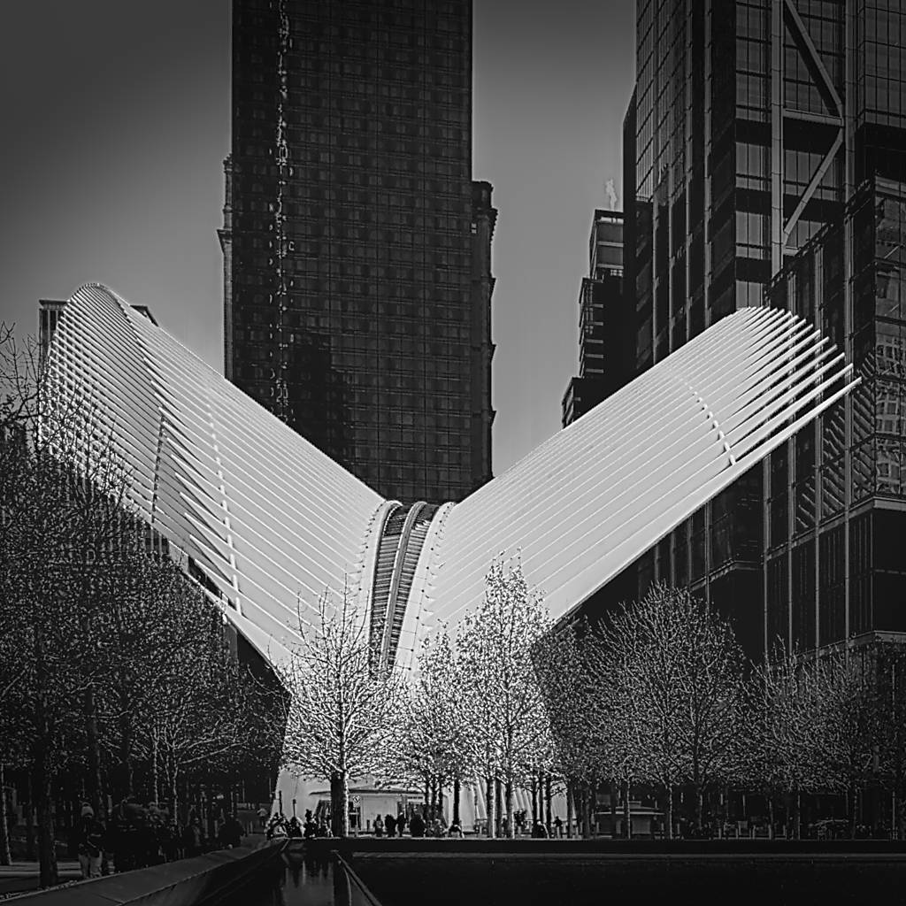 Never more! by Michael Mair, Photography, Digital | Art Limited