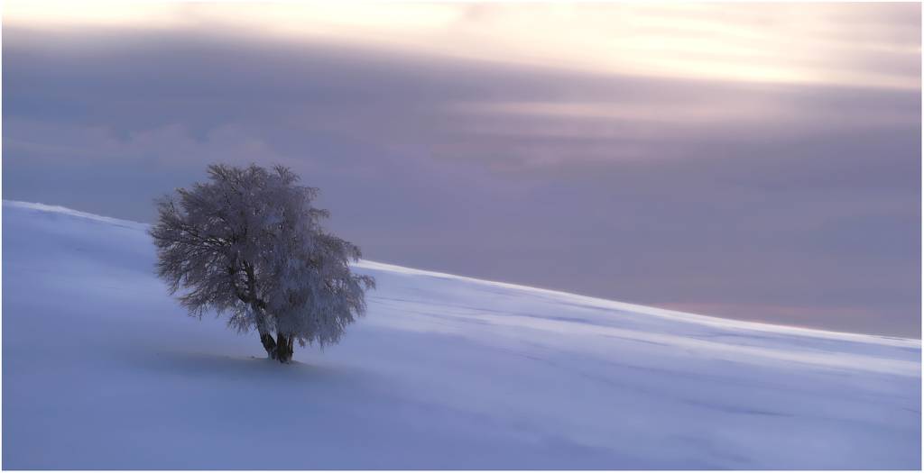 A very cold Day by Imi Koetz, Photography | Art Limited