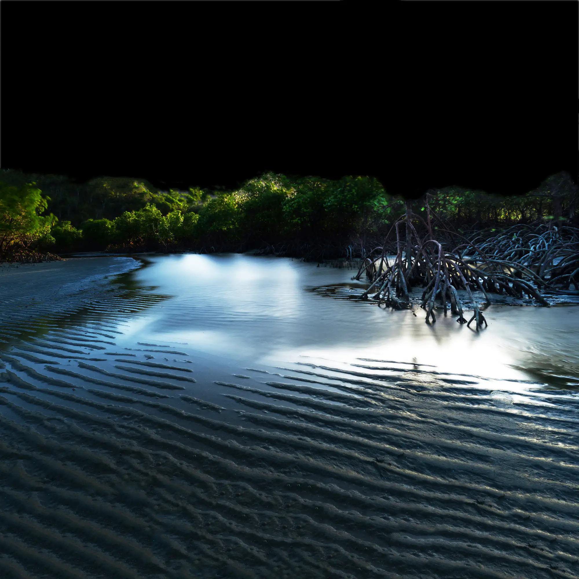 The Wet Tropics, North Queensland, Australia by Imi Koetz, Photography | Art Limited