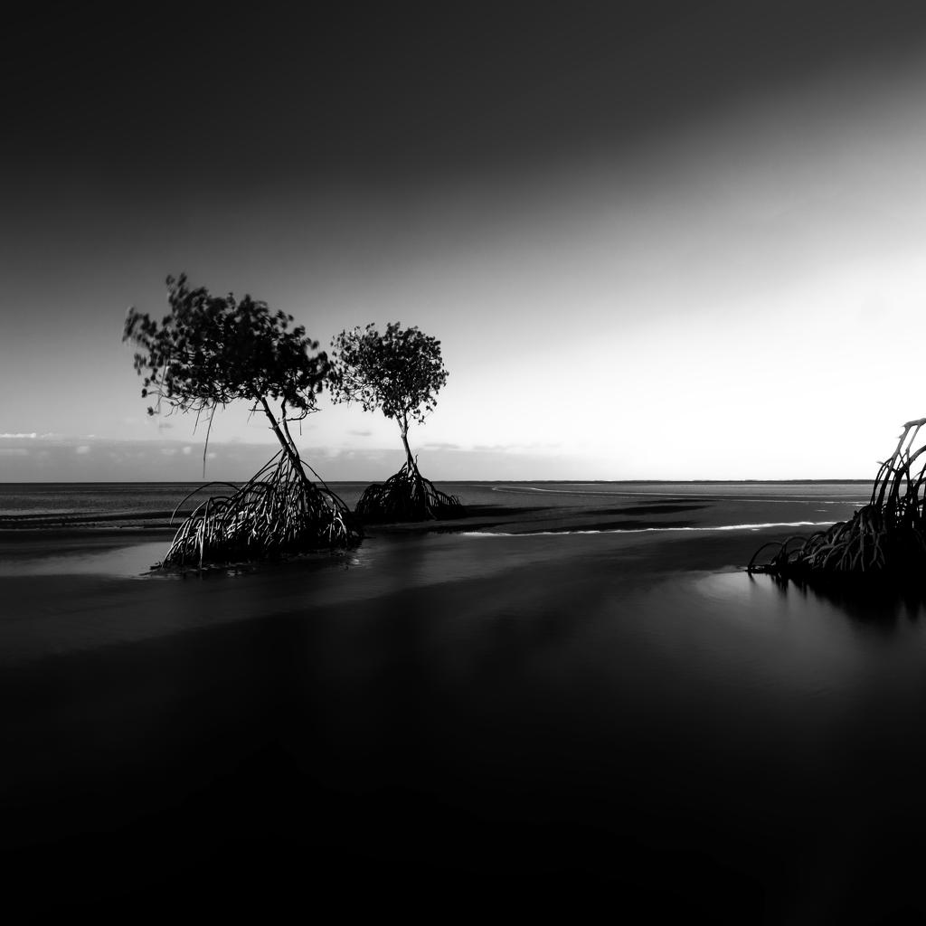 Tropical North Queensland, Australia par Imi Koetz, Photographie | Art Limited