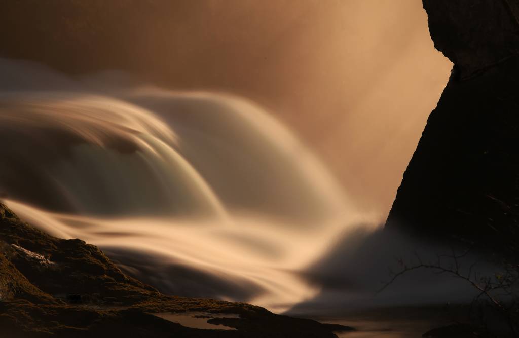 Golden Light by Angelika Vogel, Photography, Digital | Art Limited