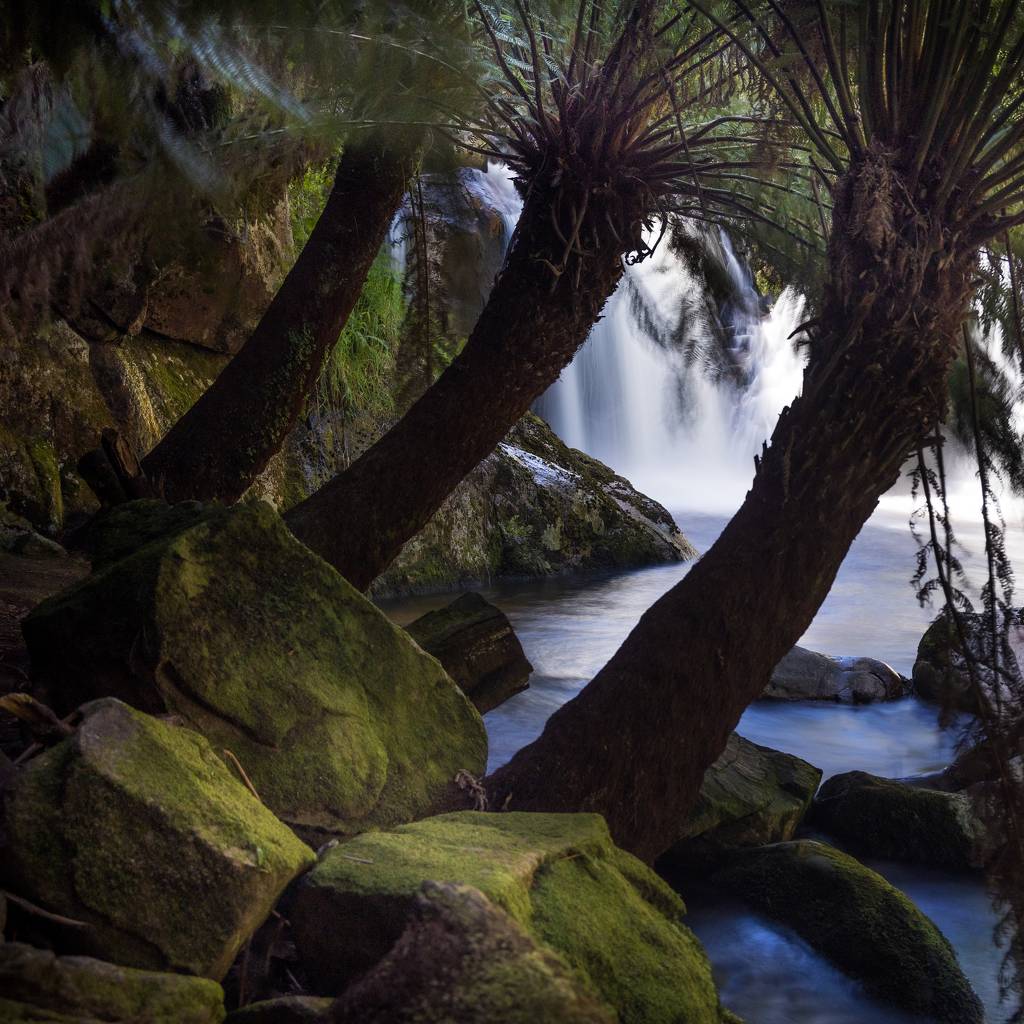 Wild World ... par Angelika Vogel, Photographie, Numérique | Art Limited