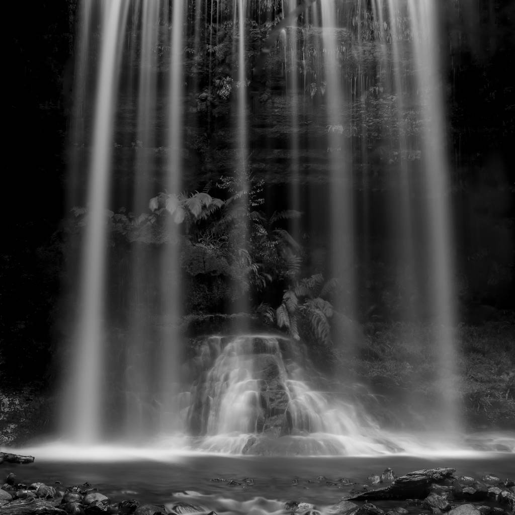 Russel Fall 3 ... par Angelika Vogel, Photographie, Numérique | Art Limited