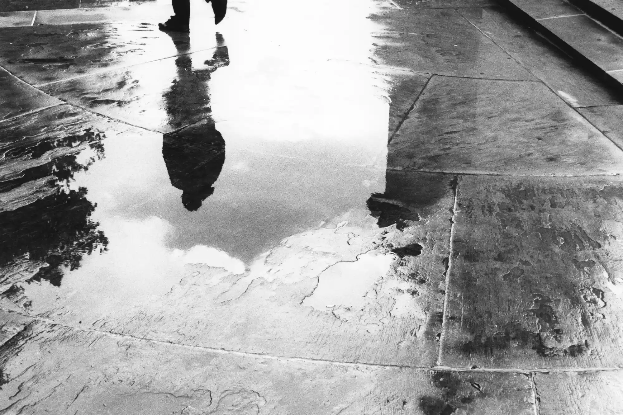 shadow and reflection photography