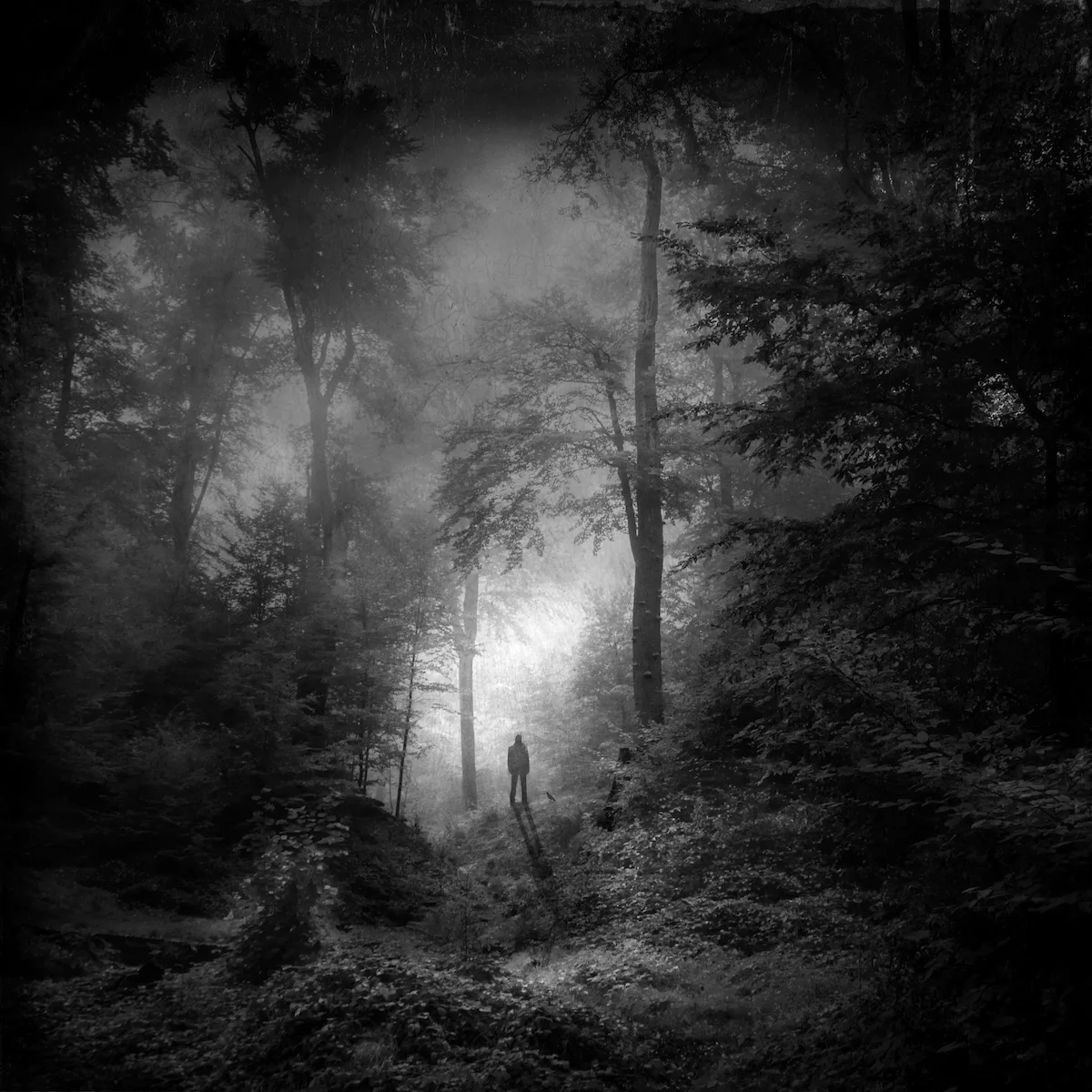 Displaced - Alone In Nature by Dirk Wüstenhagen, Photography, Montage ...