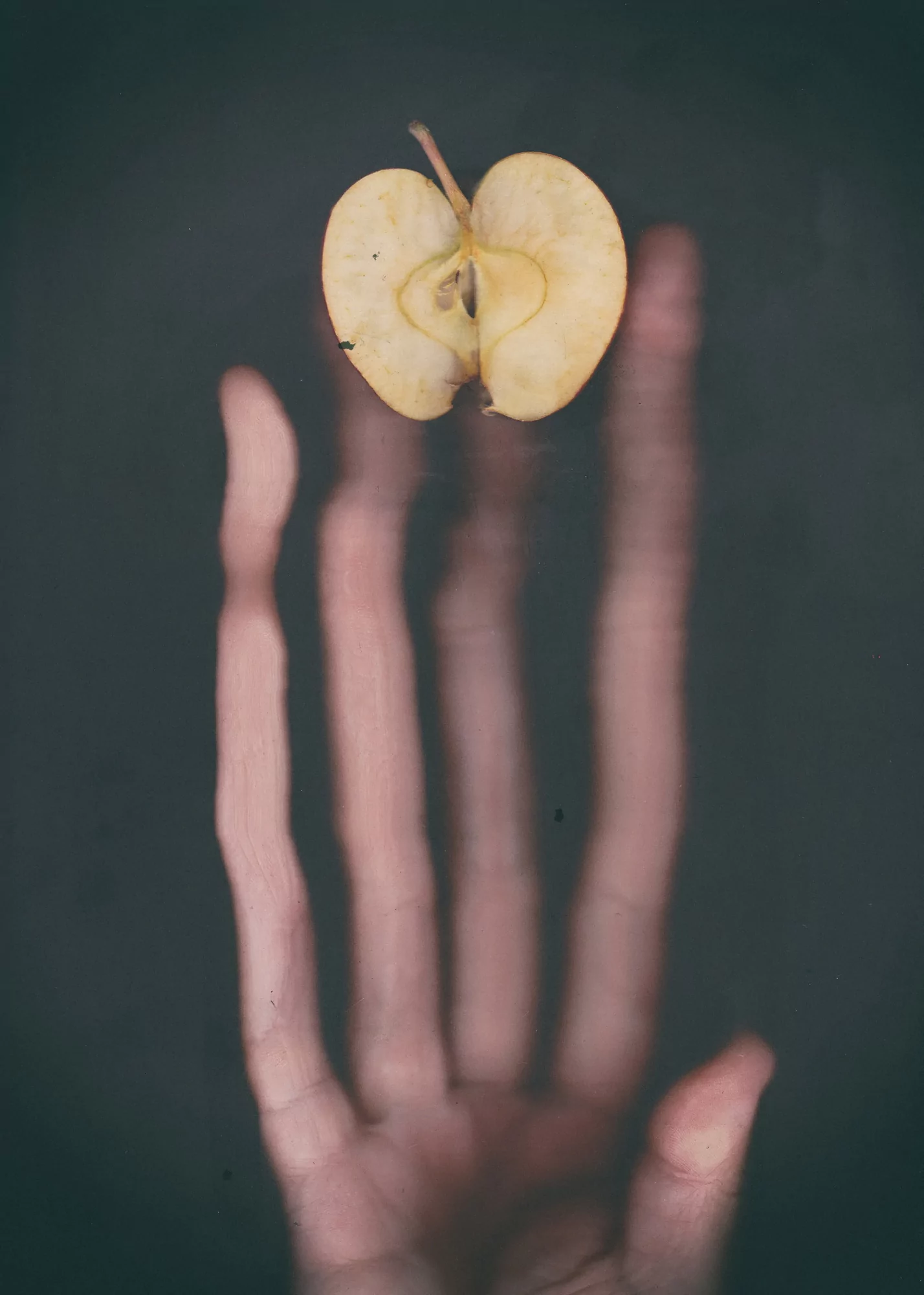 hands holding objects photography