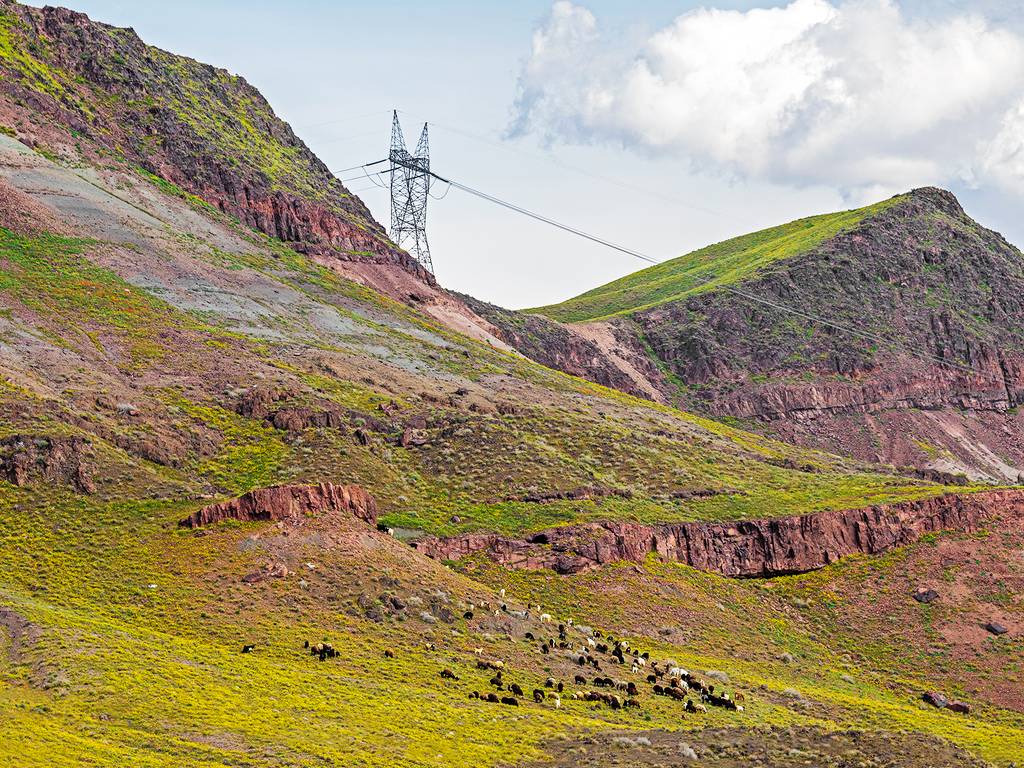 Man-made nature by Davoud Naeimi, art work | Art Limited