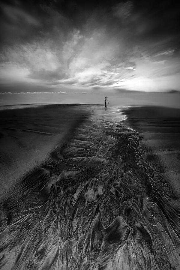 The line by Jimmy Allen, art work | Art Limited